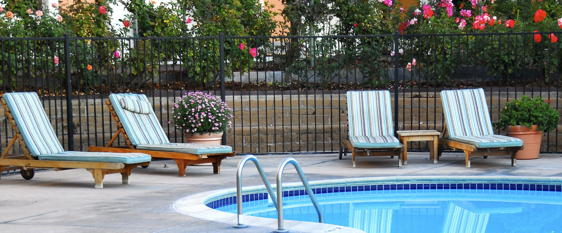 Our Services | Peninsula Swim Safe